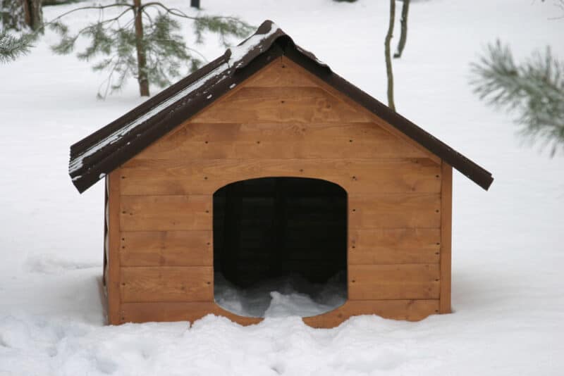 The Ultimate Guide to Choosing the Right Heated Dog House for Your Pet ...